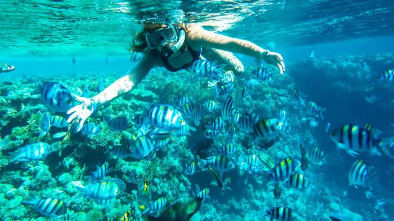Discover Mahmaya Island - Full-Day Tour | Egypt Escapes