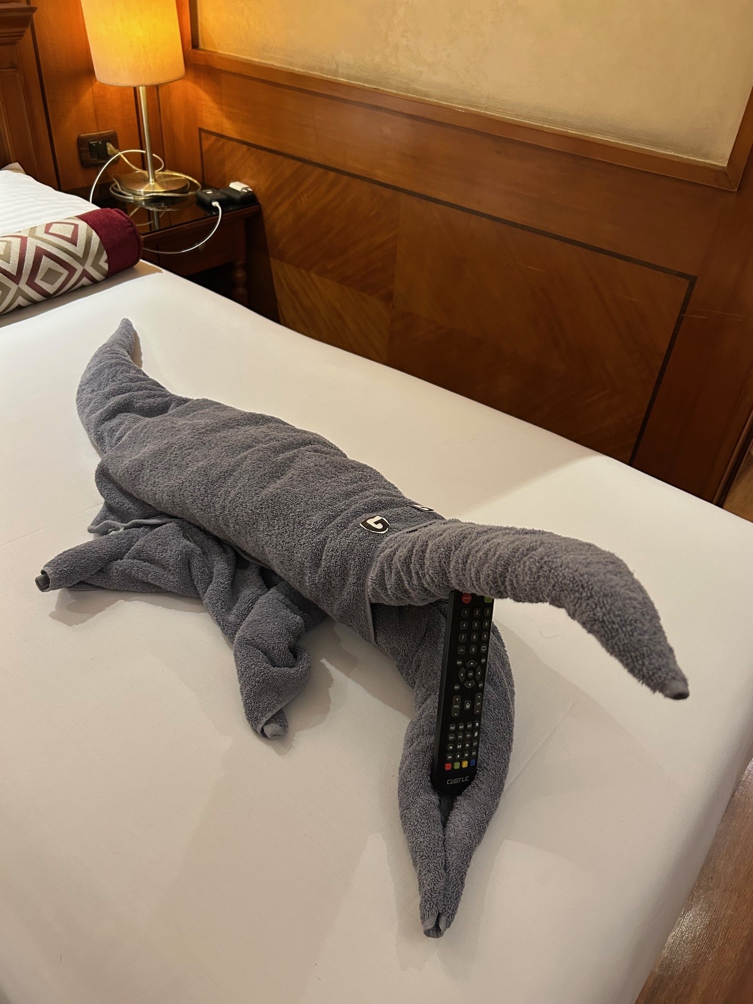 nile croc | Egypt Escapes